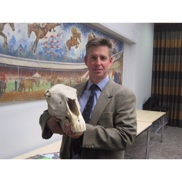 Grant Chanter's Equine Dental and Bitting Services | Royal Warrant ...