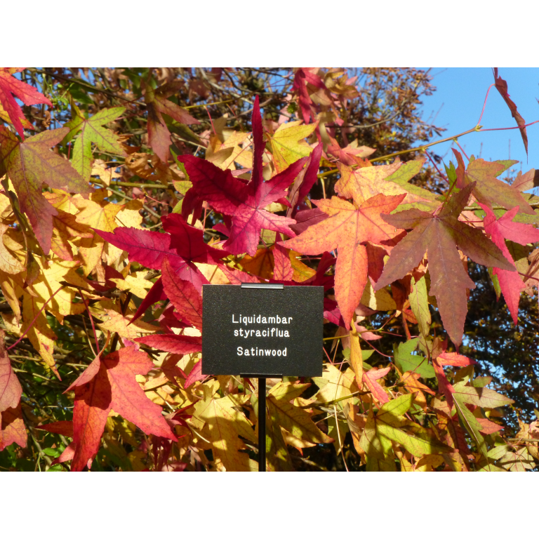 Sheen Labels Ltd | Royal Warrant Holders Association